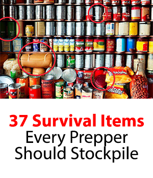 17 Urgent Items The Red Cross Says You MUST Stockpile NOW (Before ...